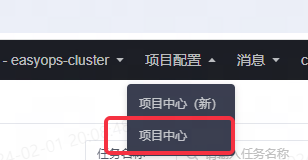 项目中心 - 项目信息 - 《数据开发与治理平台Easydata用户手册-V8.0 Update13》
