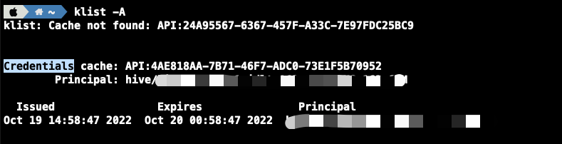 开发小技巧 - DEMO-DBeaver 连接带kerberos 认证的Hive - 《EasyData数据开发治理平台FAQ》